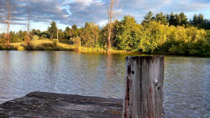 Four Springs Ranch – Dallas Oregon Horse Ranch